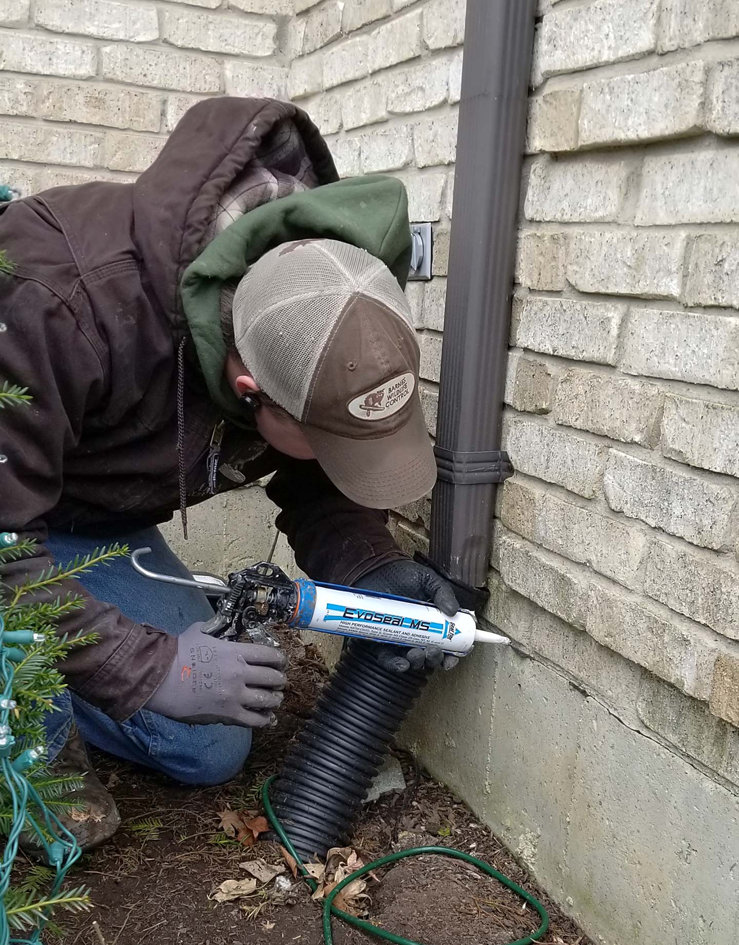 Caulks And Sealants In Wildlife Control - Everkem Diversified Products