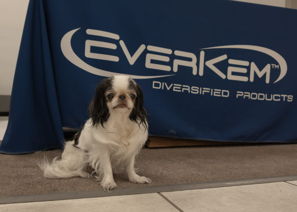 Remembering Maci: Our Loyal Office Companion - Everkem Diversified Products - Caulk Talk Newsletter
